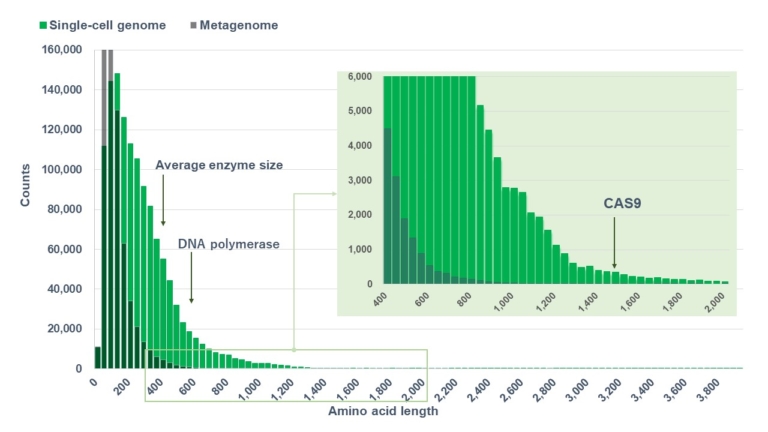 bitBiome株式会社｜シングルセルゲノム解析bit-MAP® | bitBiome, Inc.